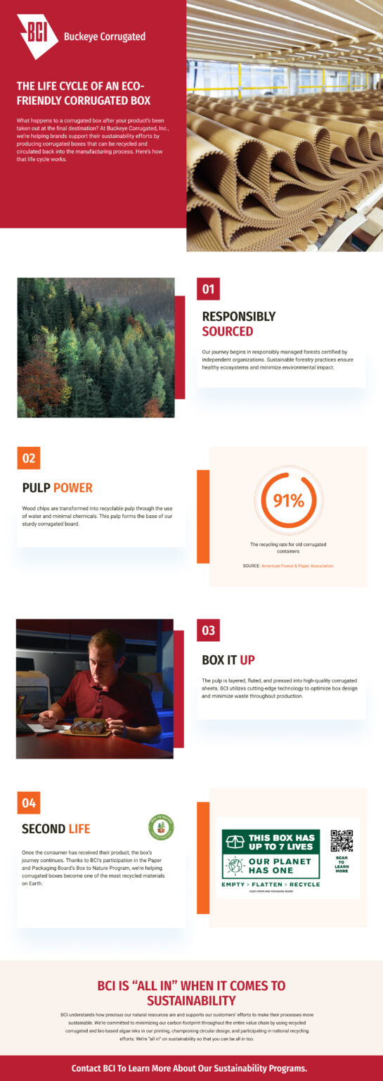 The life cycle of an Eco-friendly corrugated box - Buckeye Corrugated